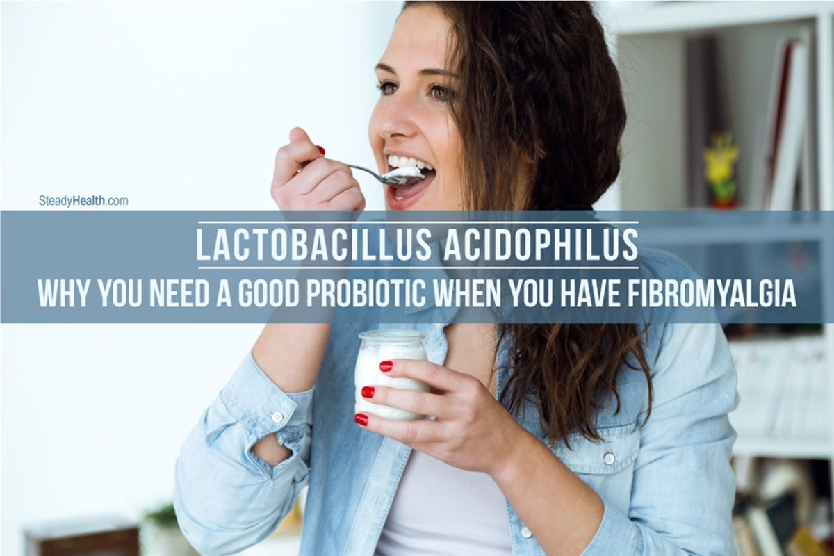 Lactobacillus Acidophilus: Why You Need A Good Probiotic Supplement ... Lactobacillus Acidophilus: Why You Need A Good Probiotic Supplement ...